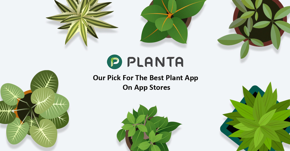 Planta – Our Pick For The Best Plant Care App From The App Stores